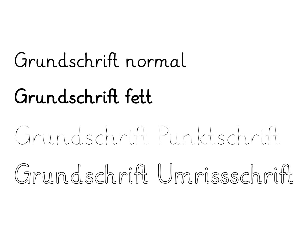 Schulschrift für die Grundschule (Windows-Version) Schullizenz Grunds